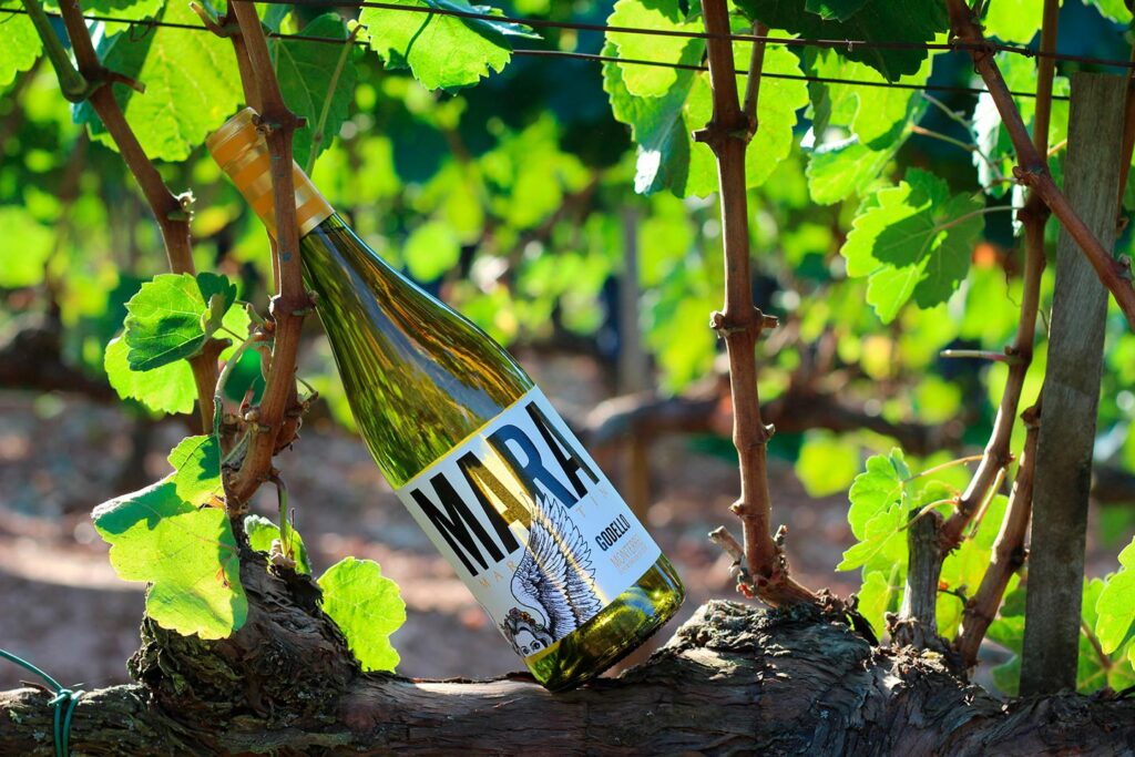 Mara Martín, un Godello que te invita a saborear la vida